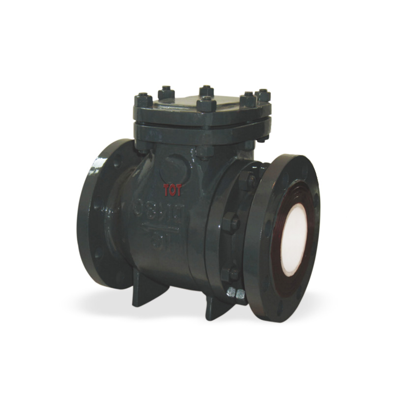 Ceramic Swing Check Valve - TOT Valve Manufacturer & Exporters